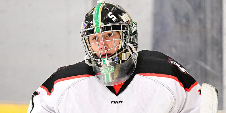 Ligue de Developpement du Hockey M18 AAA du Quebec: Four Games - 47 ...